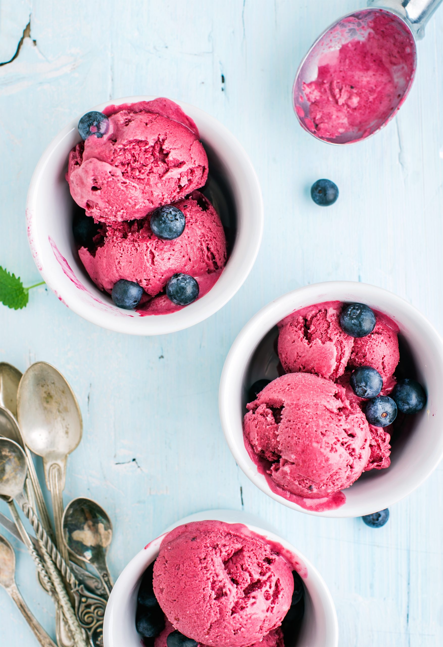 Dewberry Recipe Round Up