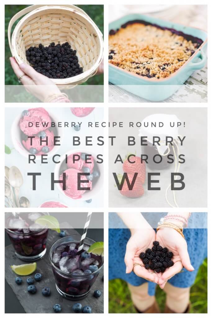 Dewberry Recipe Round Up