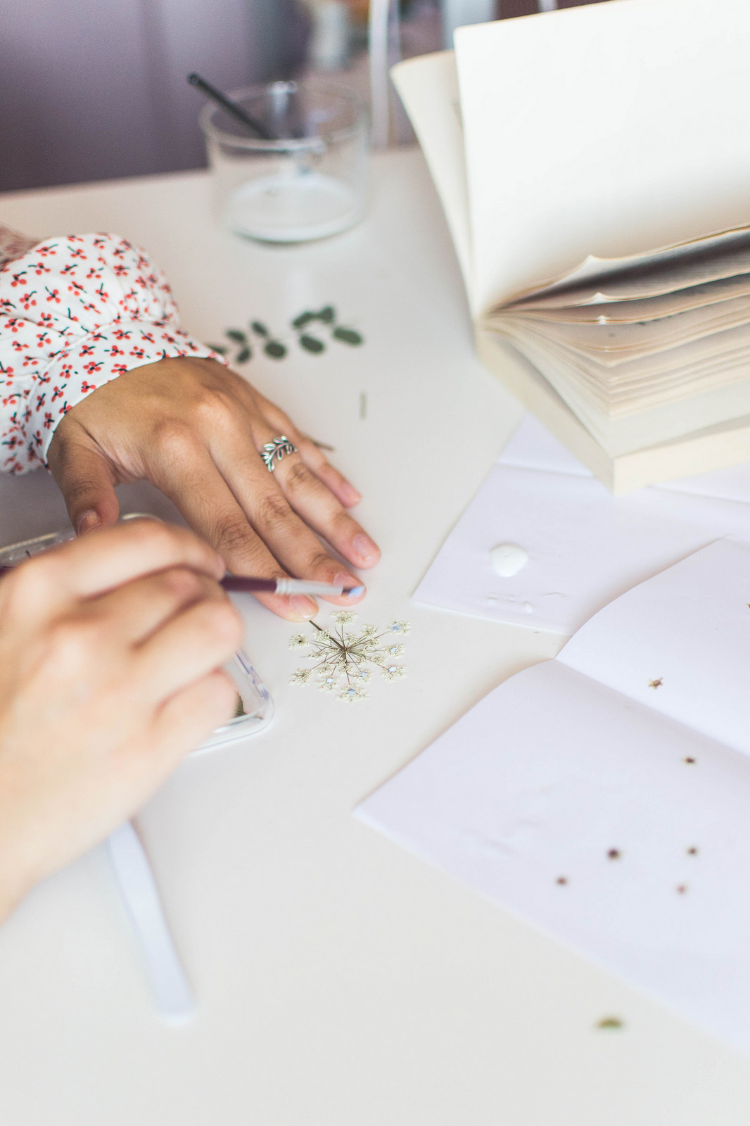 DIY Pressed Flower Phone Case