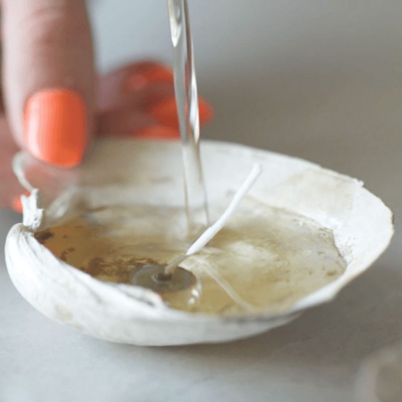 DIY Kit, Gilded Seashell Candle Making Kit | Pop Shop America