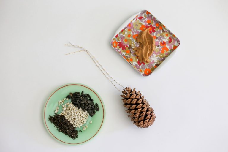 Easy DIY Pine Cone Bird Feeder
