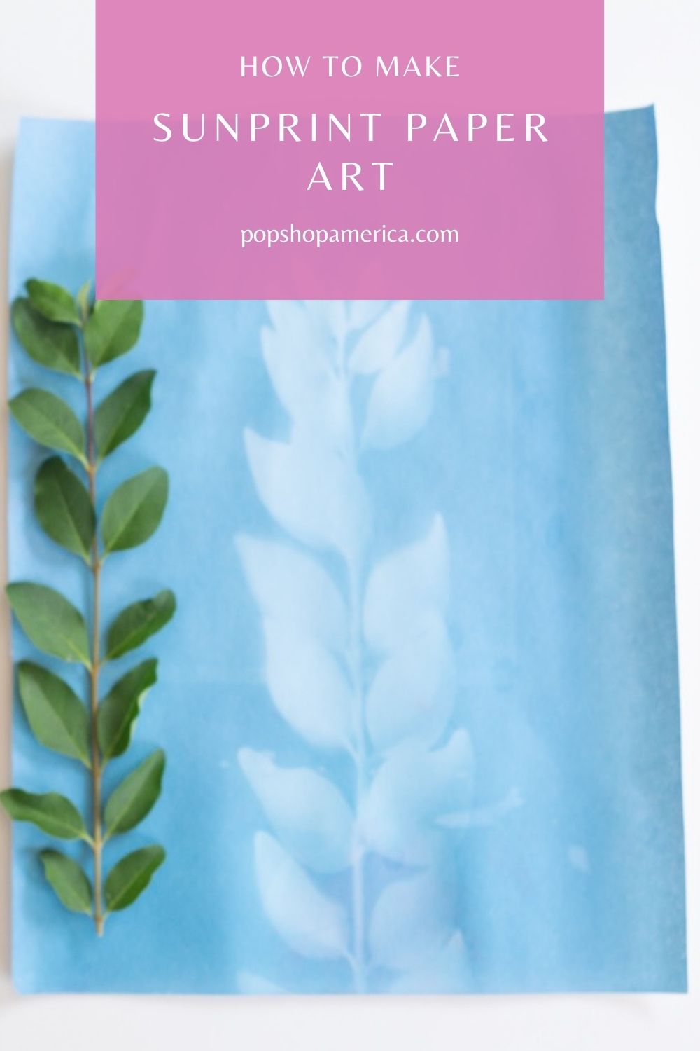 How to Make Cyanotypes