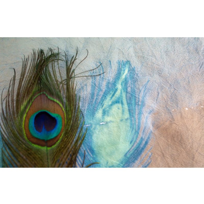 Liquid Cyanotype by Photographers Formulary