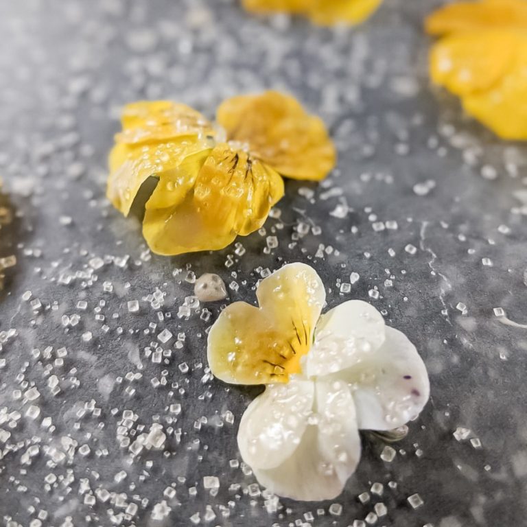 How to Make Lovely Edible Candied Flowers