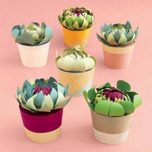 DIY Kit, Paper Potted Succulent Craft Kit