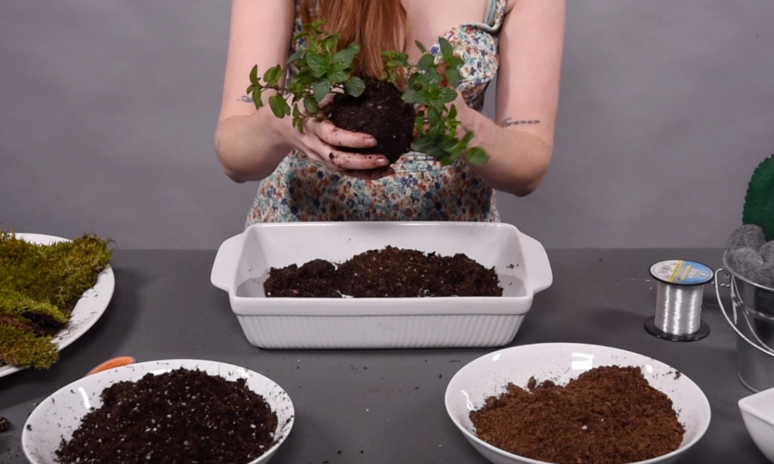 How to Make a Kokedama