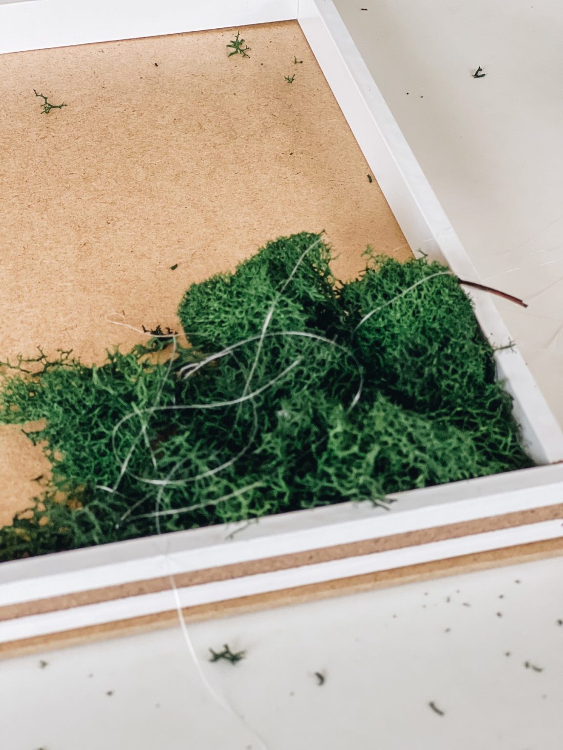 How to Make DIY Moss Wall Art