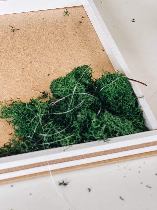 How to Make DIY Moss Wall Art