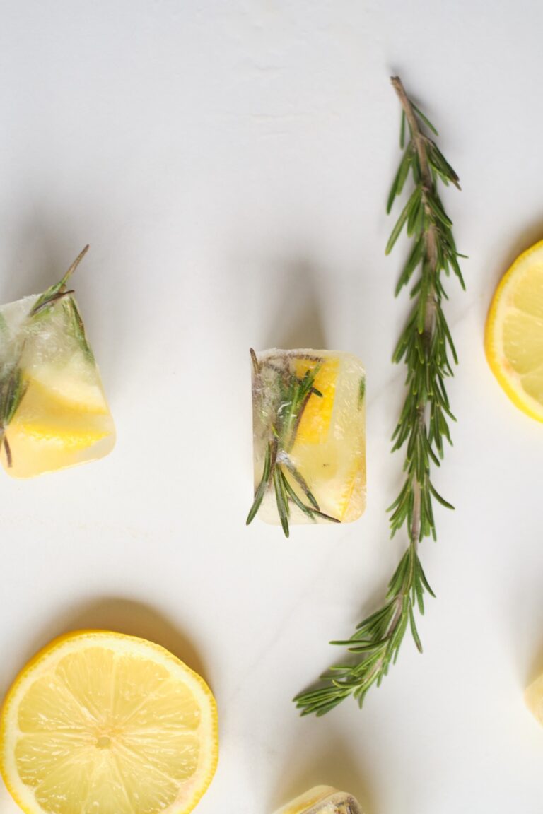 DIY Garbage Disposal Cleaning Ice Cubes